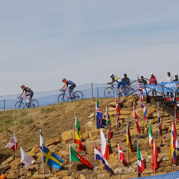 Specialized CobL GobL-R (CG-R) and Ergon CF3 Suspension Seat Posts for ...